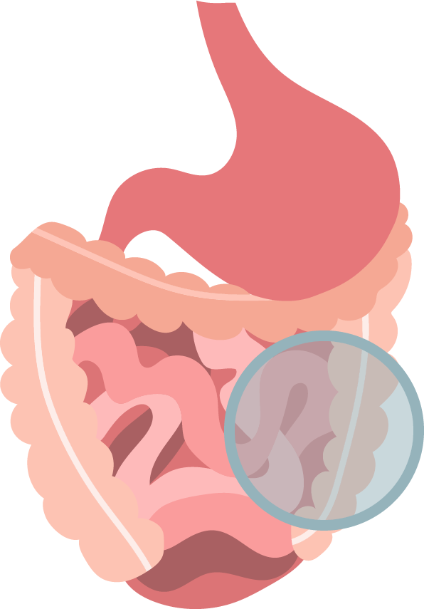 Idaho Gastroenterology Associates